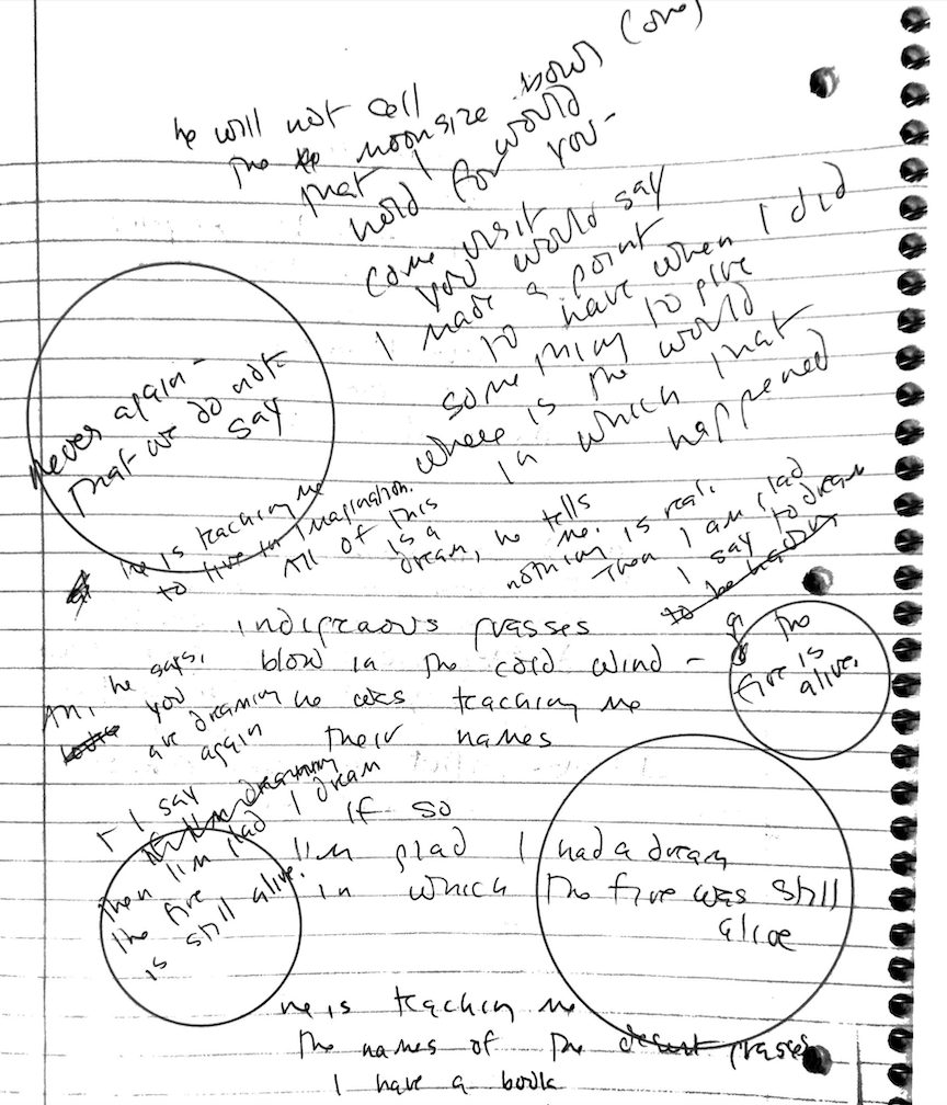 Book Notes: on Random Access, photographs by John T. Hill, They Called ...