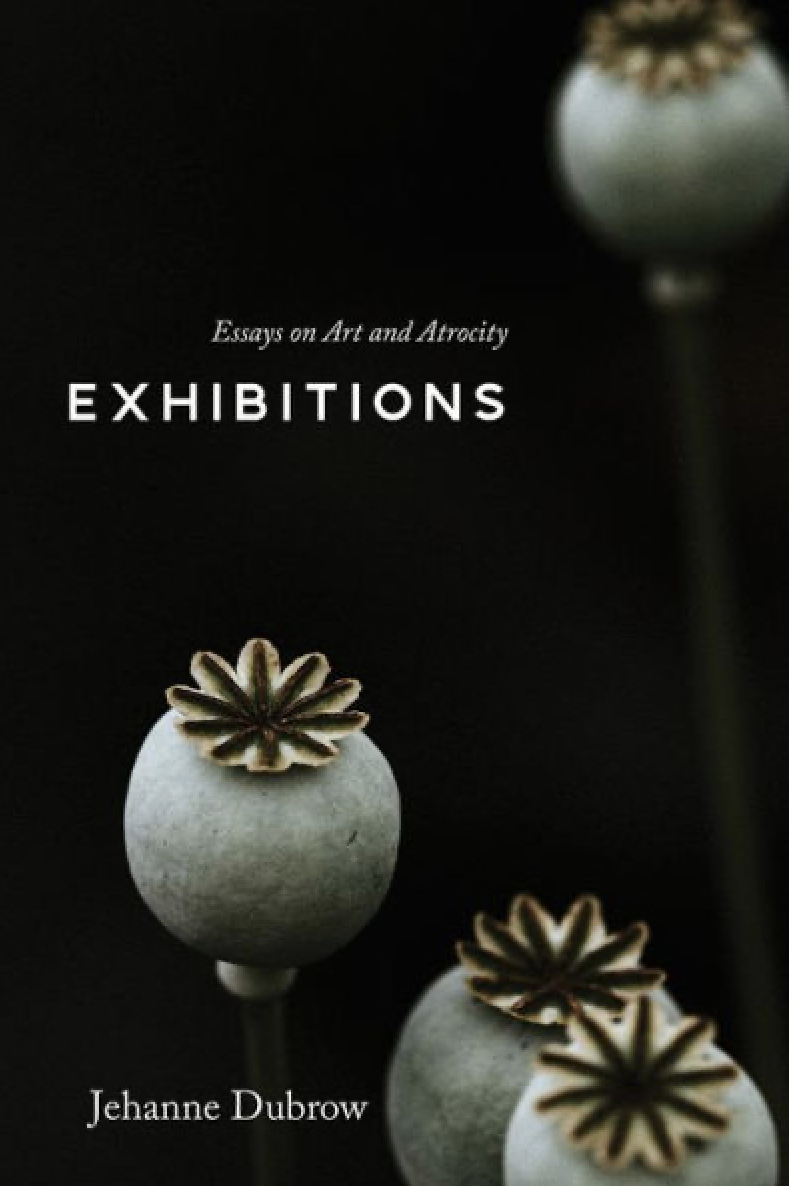 on Exhibitions: Essays on art and Atrocity by Jehanne Dubrow – On the ...