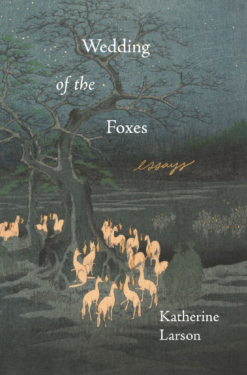 on Wedding of the Foxes, essays by Katherine Larson – On the Seawall