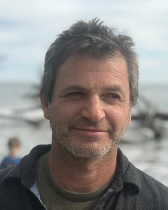 On the Seawall – a community gallery of new writing, art and commentary ...
