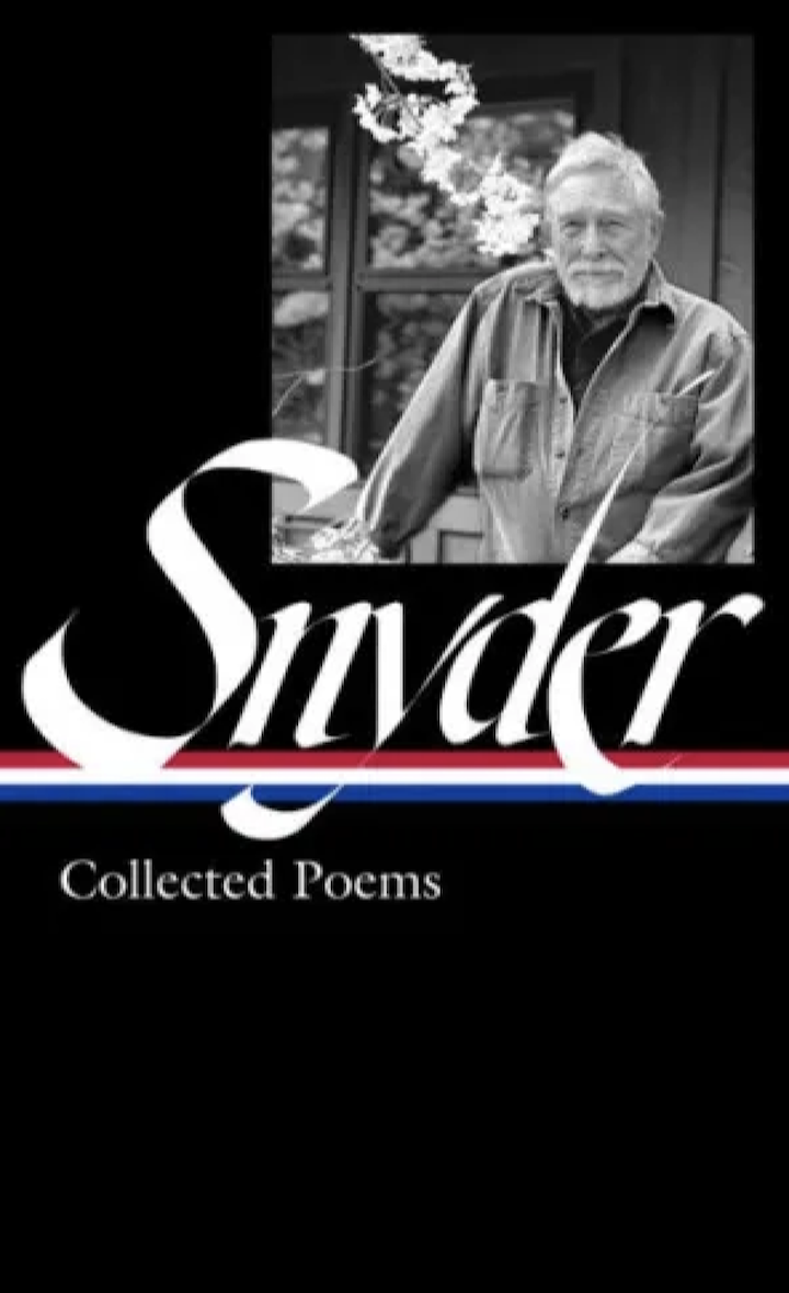 on The Missing Jew: Poems 1976-2022 by Rodger Kamenetz, Selected Poems ...