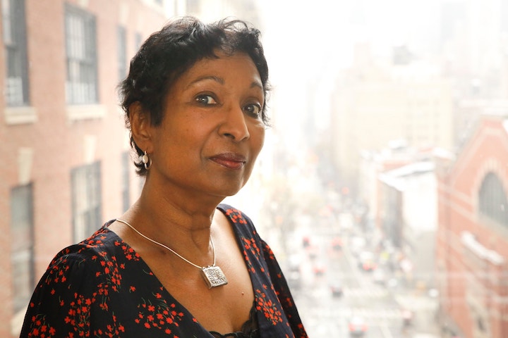 on In Praise of Fragments, poetry by Meena Alexander – On the Seawall